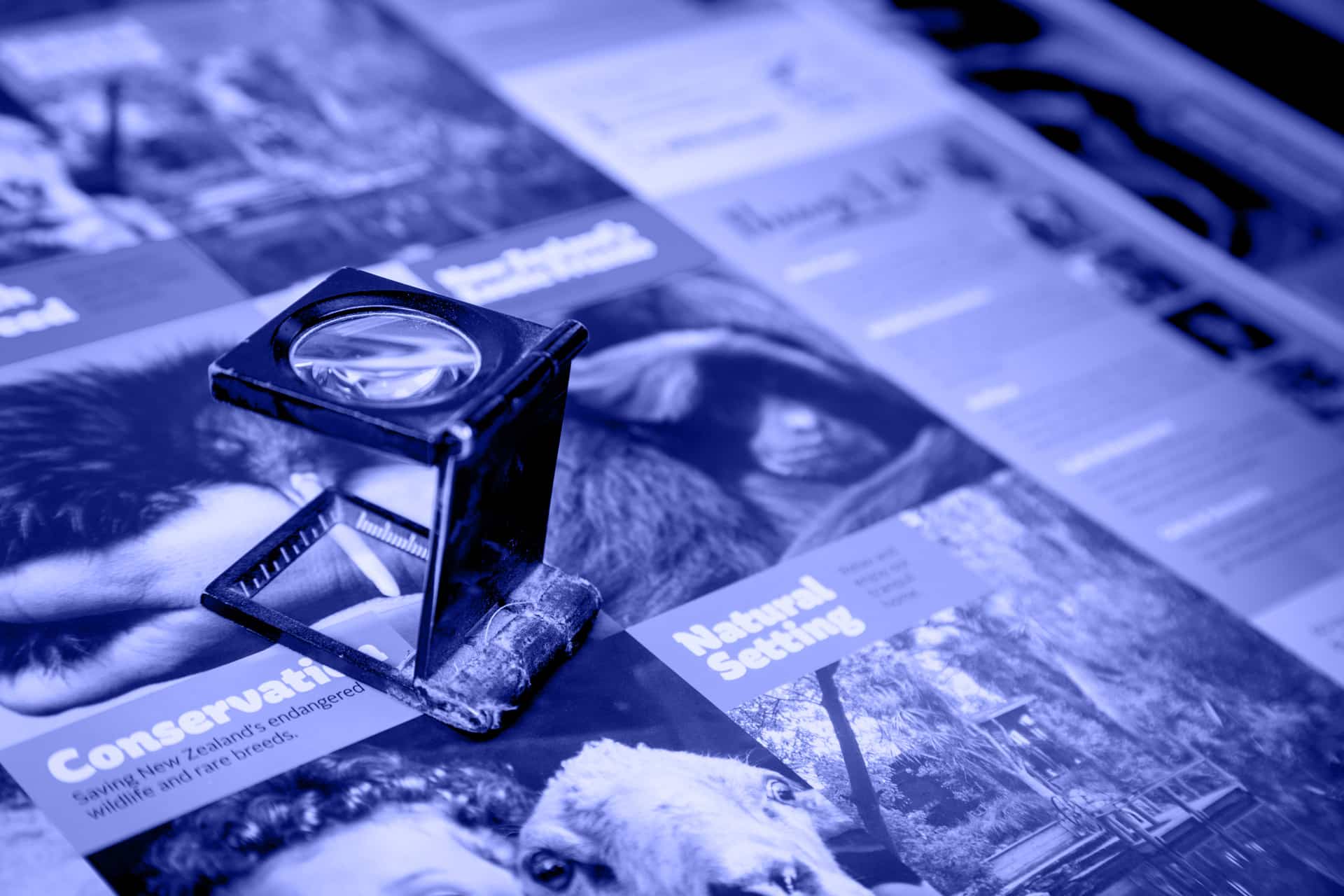 Printing Services | Spectrum Print