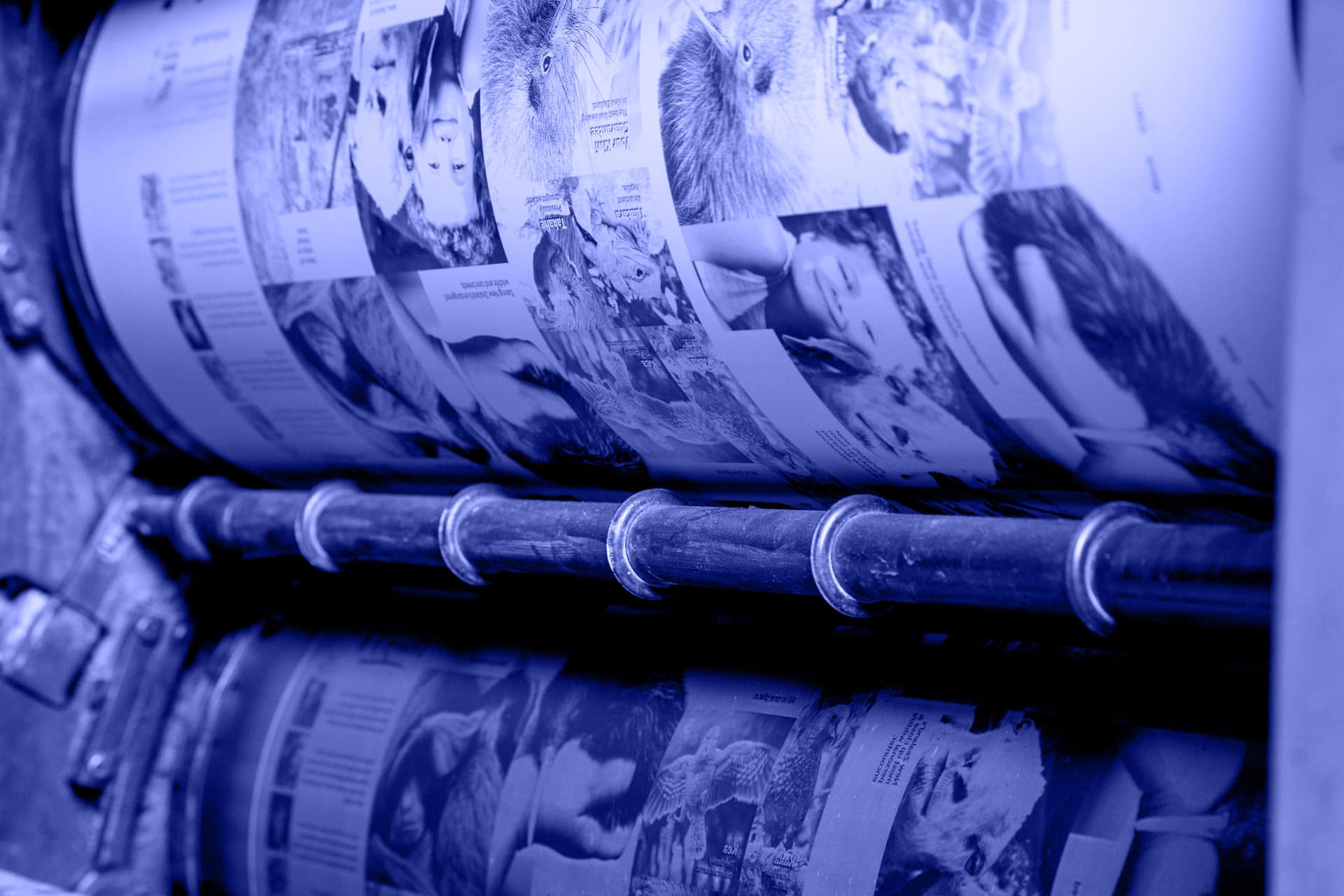 Portfolio | Spectrum Print